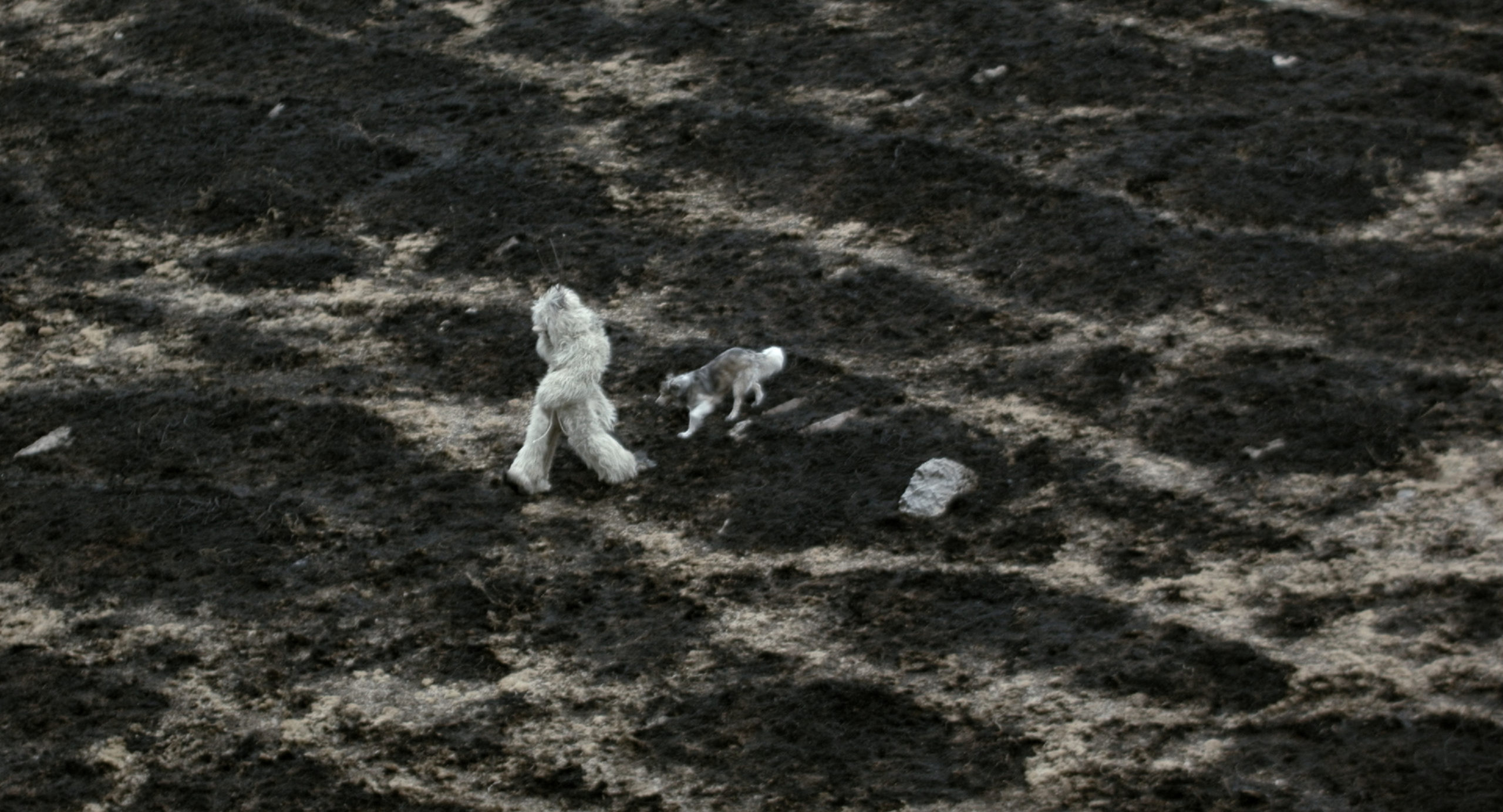 PASAIA - Giulia Grossmann - OVNi